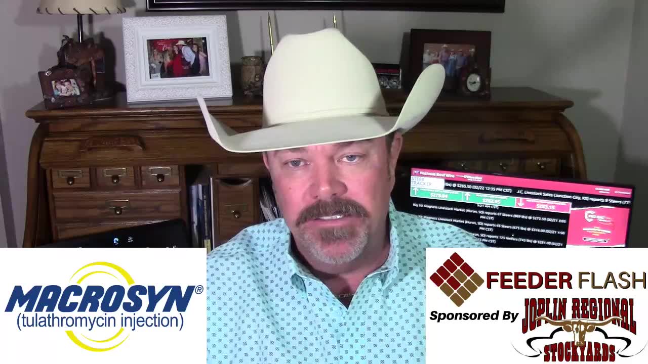 Feeder Flash 3 10 Freaky Friday Feeder Flash For 03 10 25